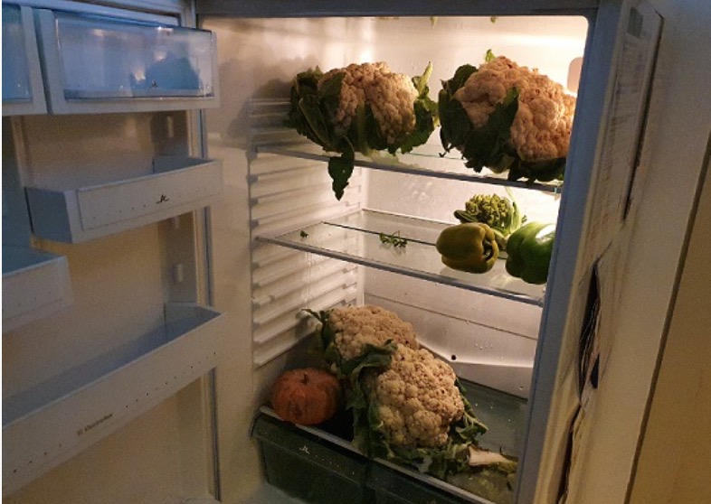 Sharing Fridge, Box - Grüner Hof 7, 89073 Ulm, Germany | Helpi
